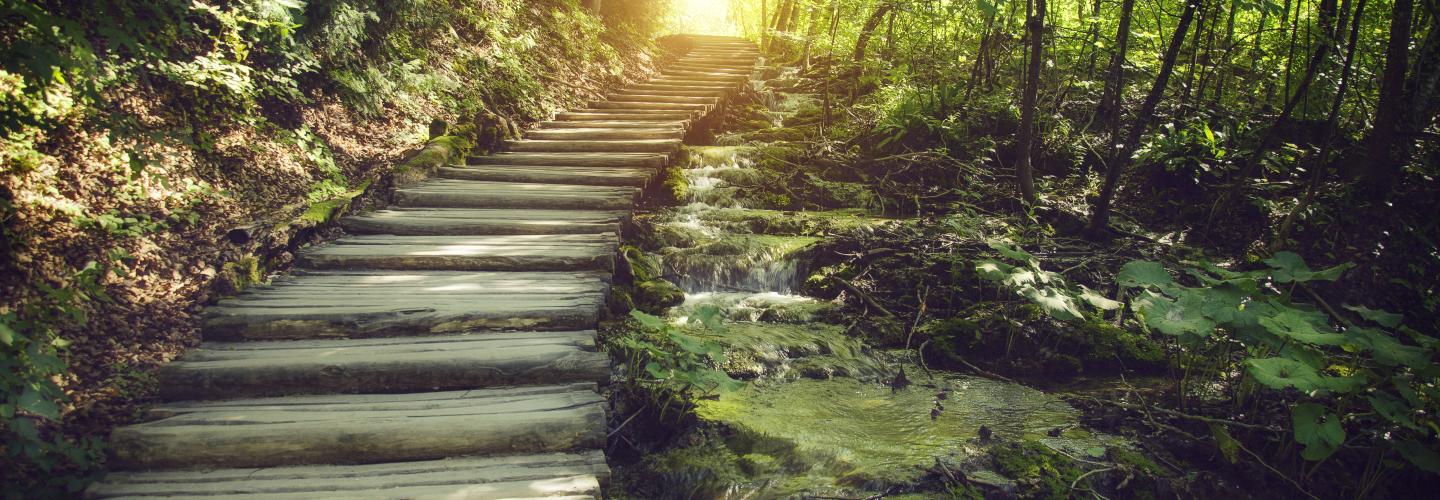 Berkeley Advisors, Inc. a Registered Investment Adviser homepage